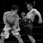 Mixed Martial Arts Brisbane | BJJ Classes | Integrated MMA